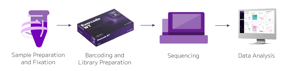 Evercode™ Whole Transcriptome Product Sheet - Parse Biosciences