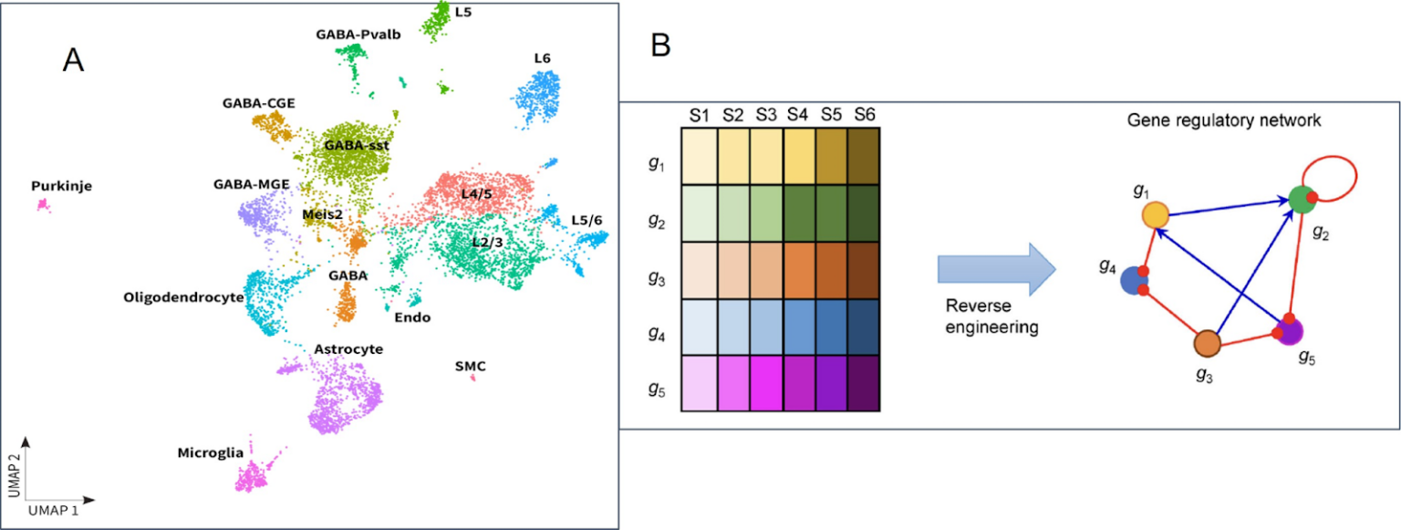 The Why And How Of Scrna Seq A Guide For Beginners Parse Biosciences