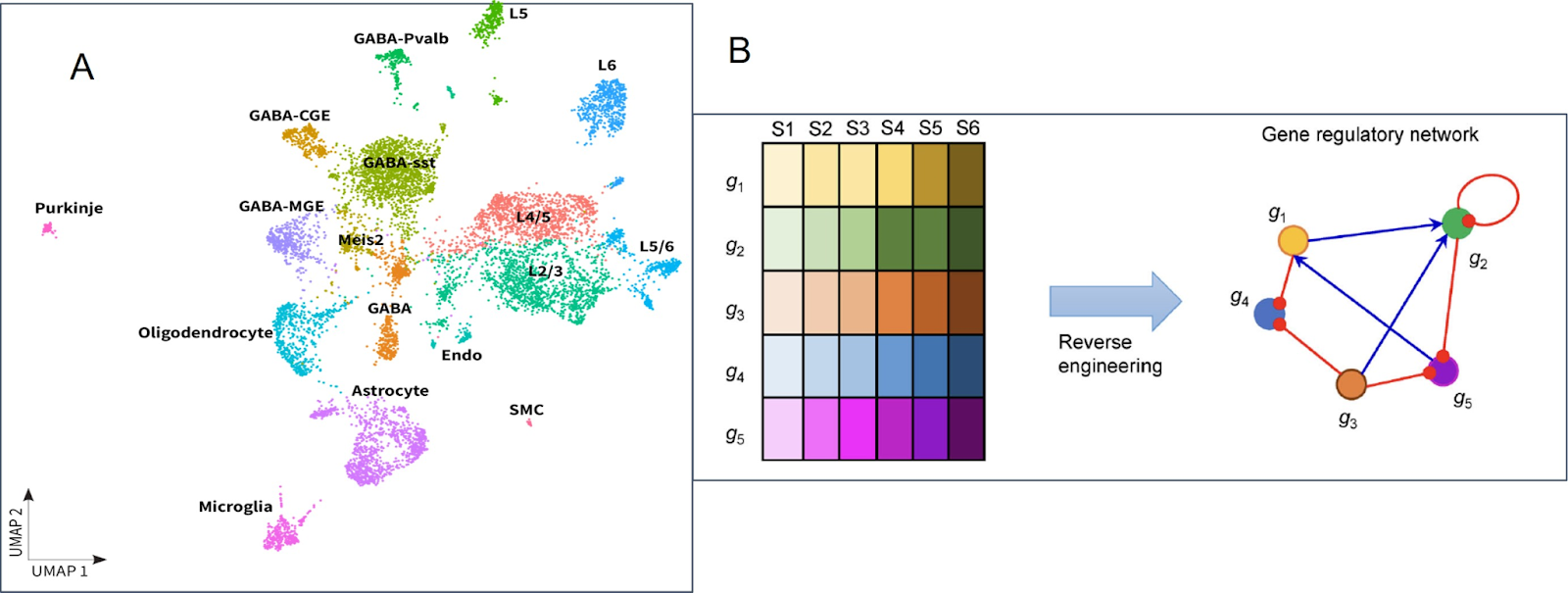 The Why and How of scRNA-Seq – A Guide for Beginners - Parse Biosciences