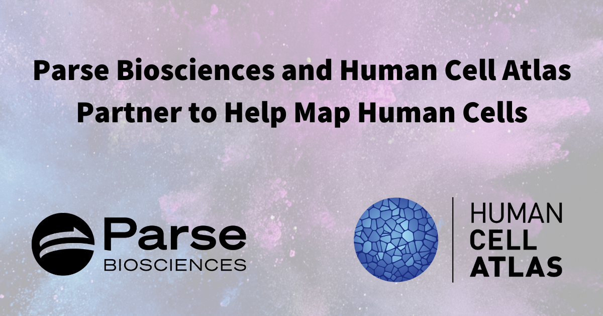 Parse Biosciences and Human Cell Atlas Partner to Help Map Human Cells - Parse Biosciences
