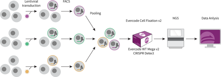 CRISPR Detect Archives - Parse Bioscience