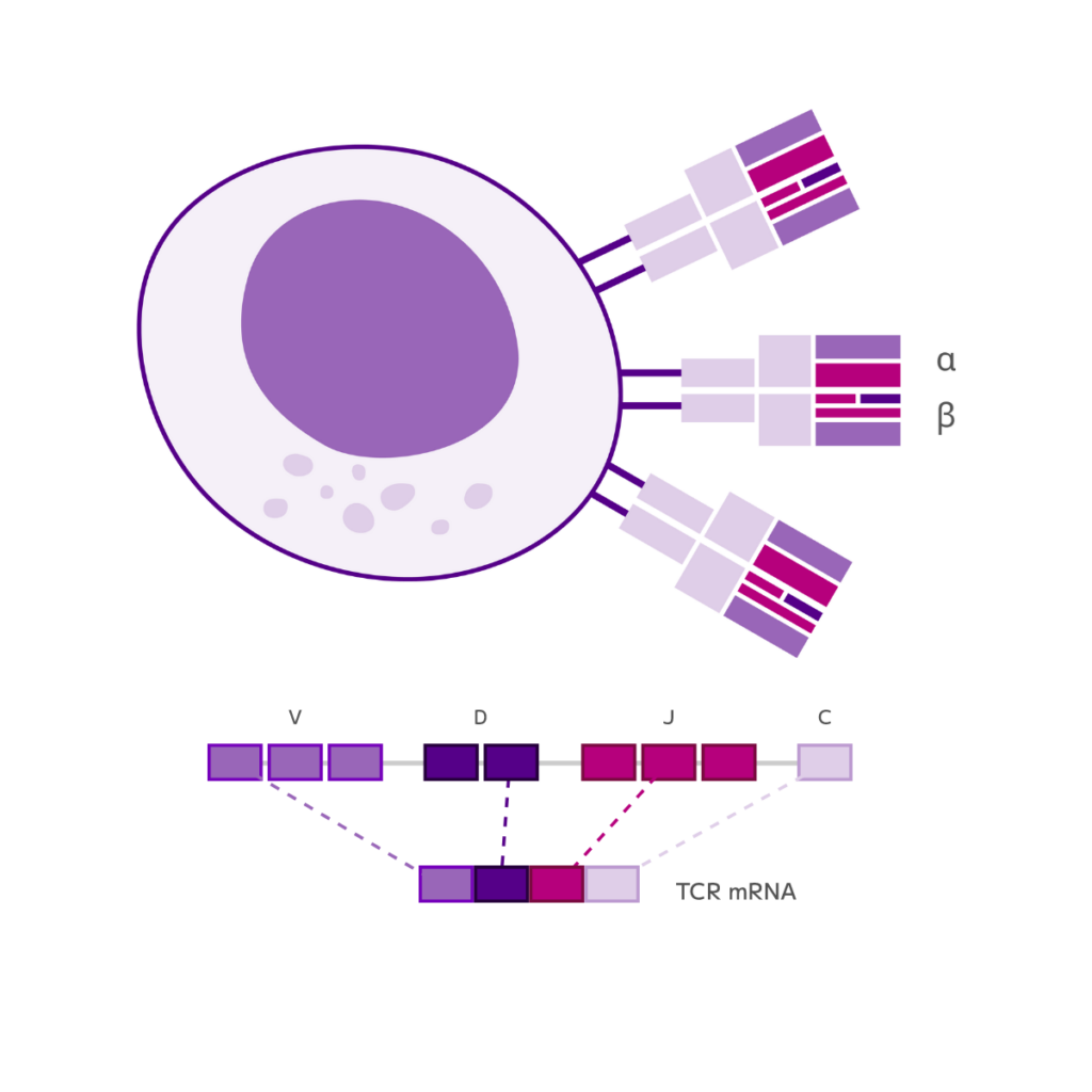 Evercode TCR - Parse Bioscience Evercode TCR - Parse Bioscience