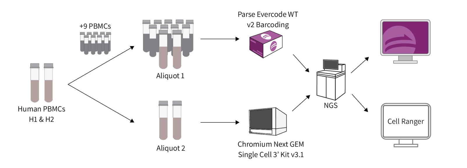Evercode WT v2 Compared with Chromium 3’ v3.1 in Human PBMCs - Parse ...