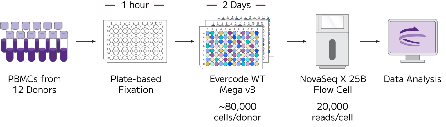 1 Million Human PBMCs in a Single Whole Transcriptome Experiment - Parse Biosciences