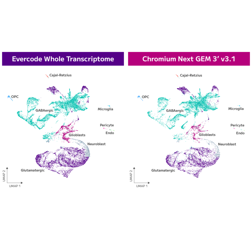 Evercode WT - Parse Biosciences
