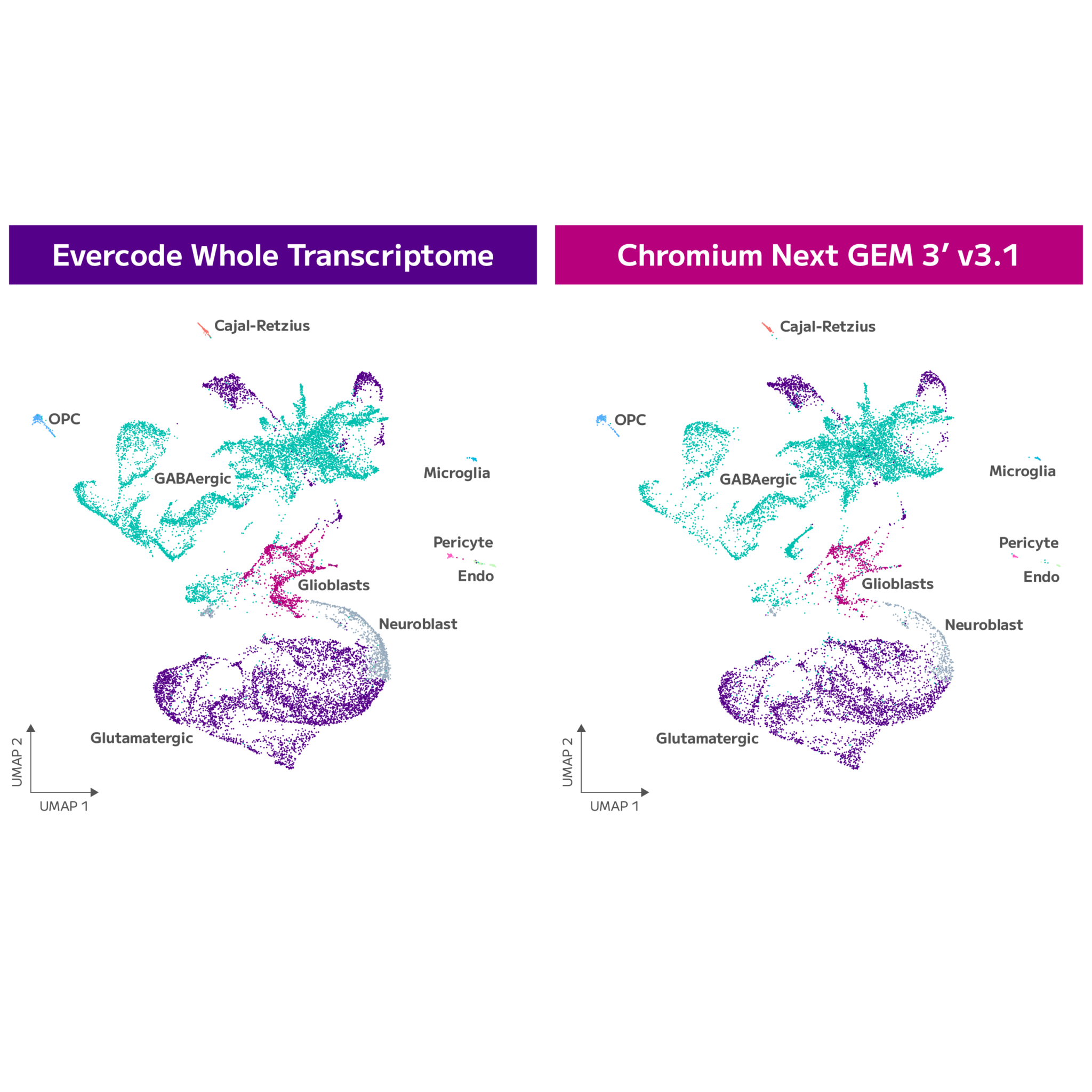 Evercode WT - Parse Biosciences