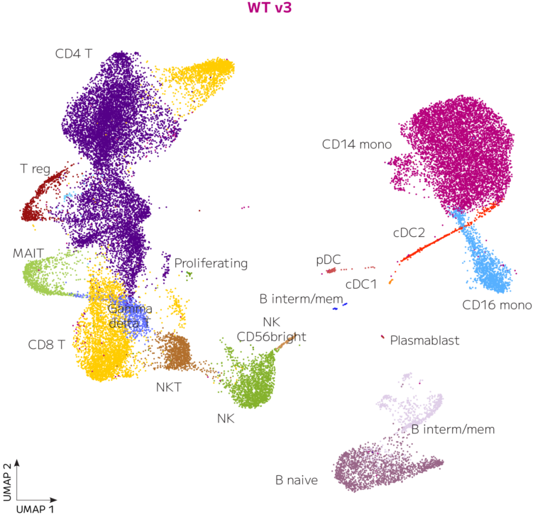 Performance of Evercode™ WT v3 in Human Immune Cells (PBMCs) - Parse Biosciences