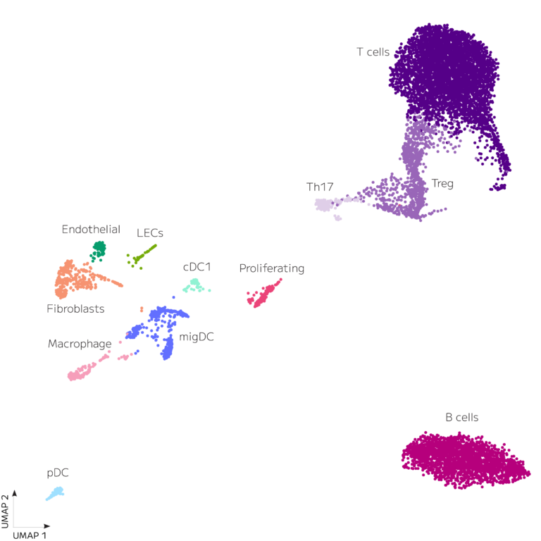 Performance of Evercode™ WT v3 in Mouse Lymph Node Nuclei - Parse Biosciences