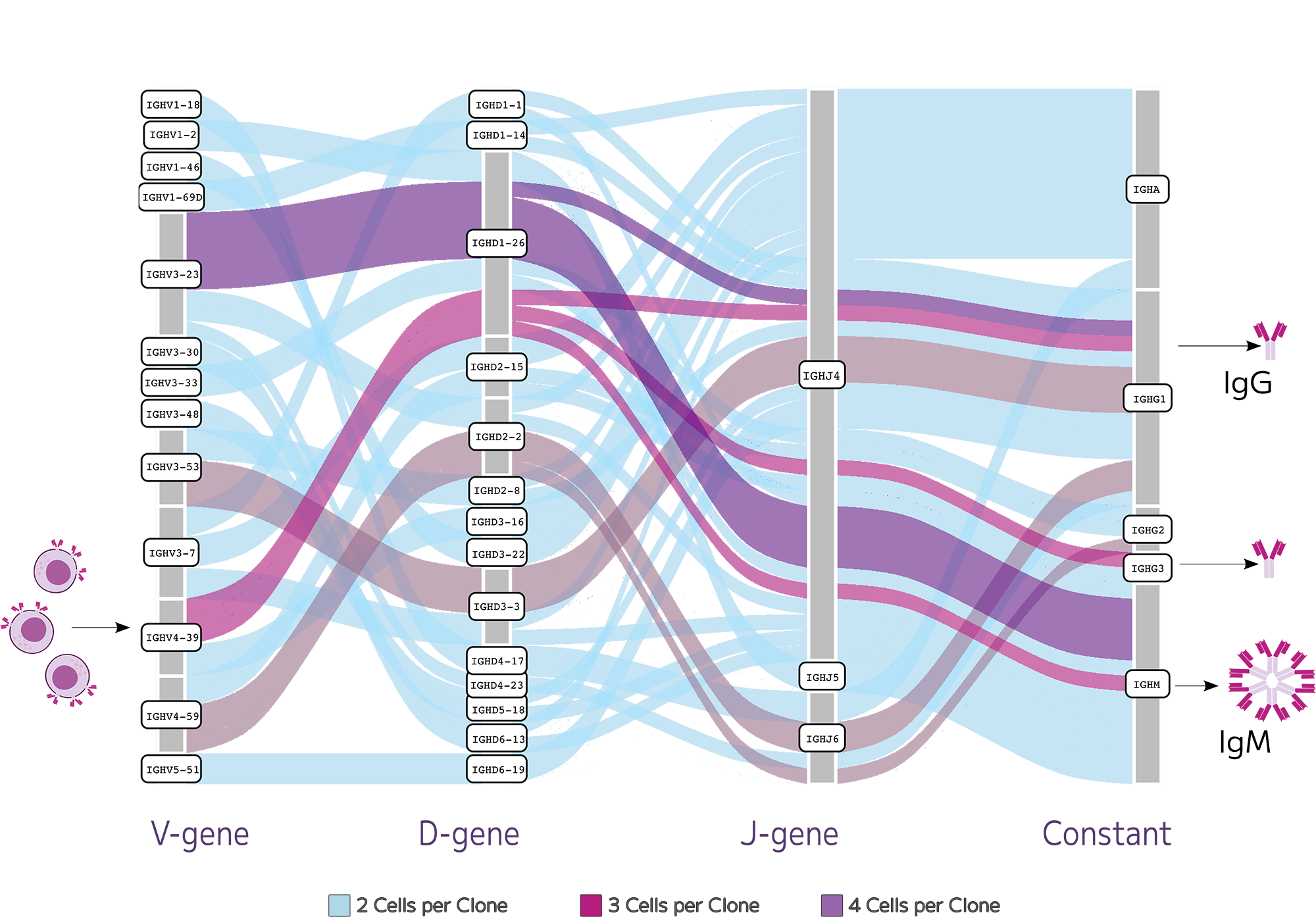Evercode BCR - Parse Biosciences Evercode BCR - Parse Biosciences