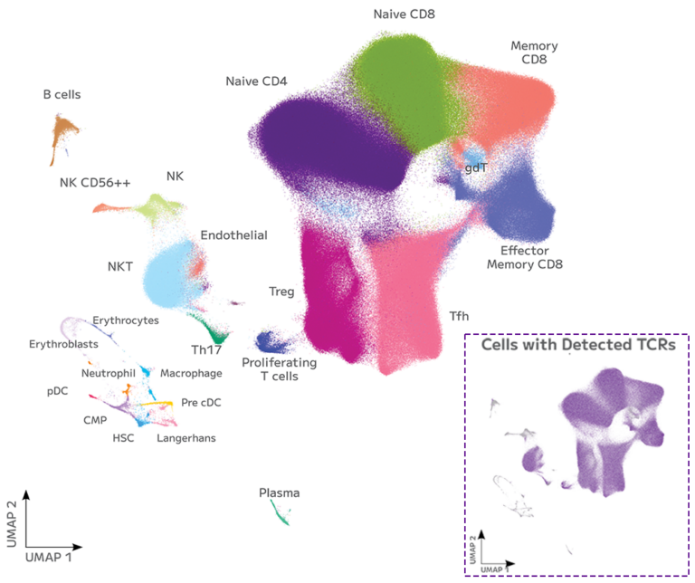 TCR: Single Cell Immune Profiling - Parse Biosciences