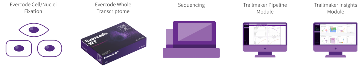 Trailmaker: Single Cell Data Analysis - Parse Biosciences