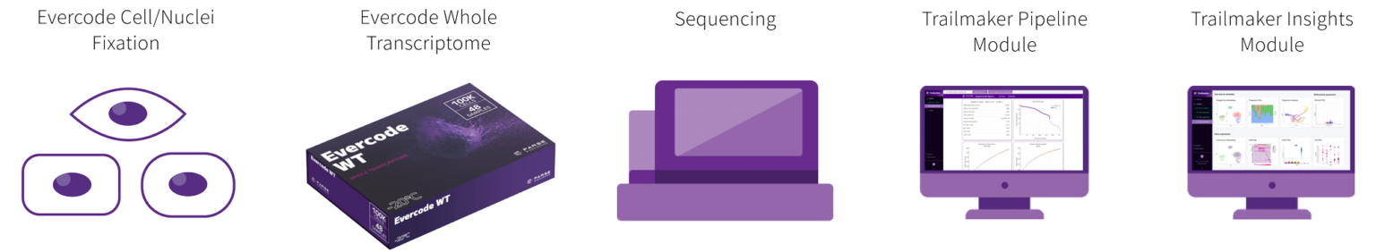 Trailmaker: Single Cell Data Analysis - Parse Biosciences