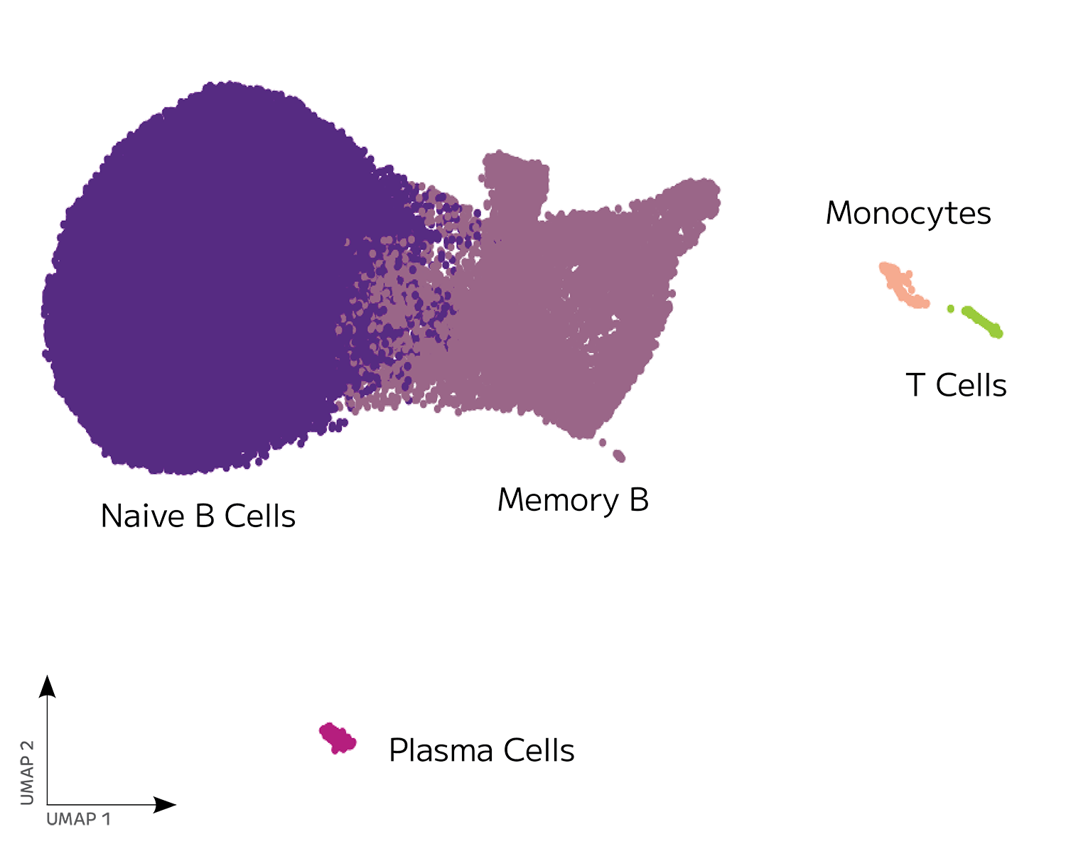 Whole Transcriptome and BCR sequencing: characterizing the B cell ...