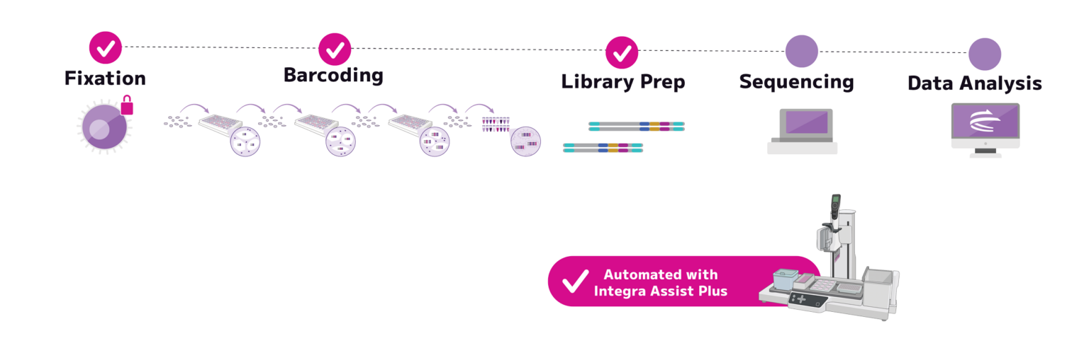 Evercode™ Together with Integra Assist Plus - Parse Biosciences