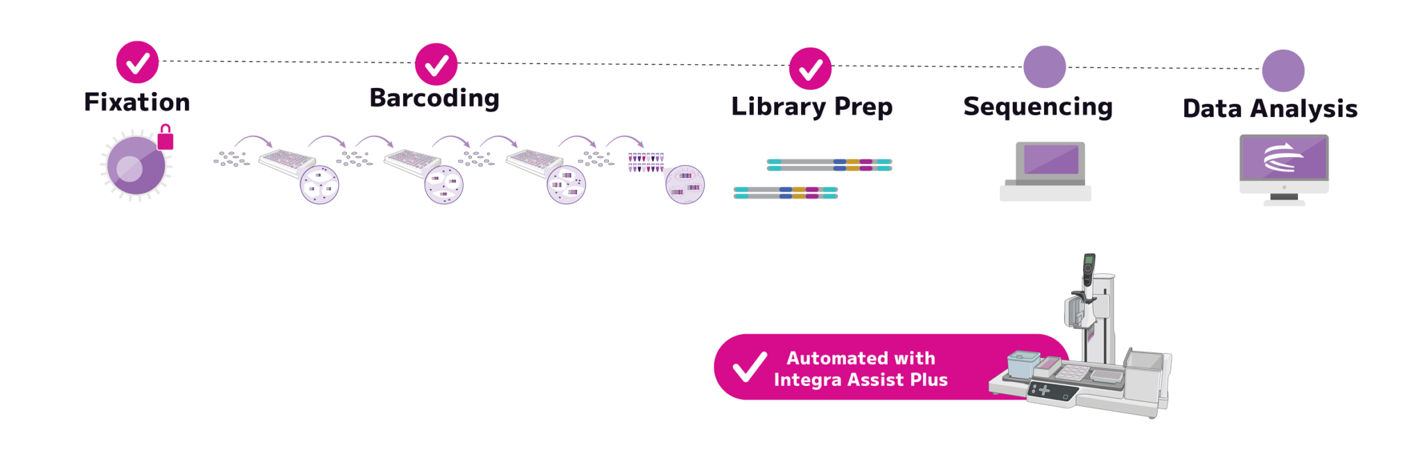 Evercode™ Together with Integra Assist Plus - Parse Biosciences
