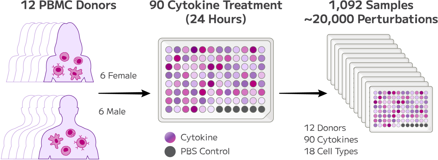 10 Million Human PBMCs in a Single Experiment - Parse Biosciences
