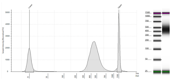 Getting Started with scRNA-seq: Library Preparation, QC and Sequencing ...