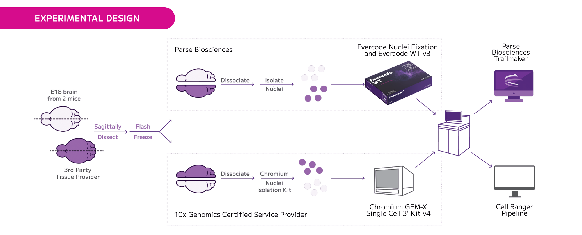 See why researchers choose Evercode - Parse Biosciences