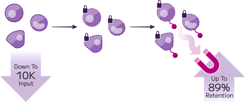 Evercode Fixation: Fix and Store Cell or Nuclei for Single Cell - Parse Biosciences