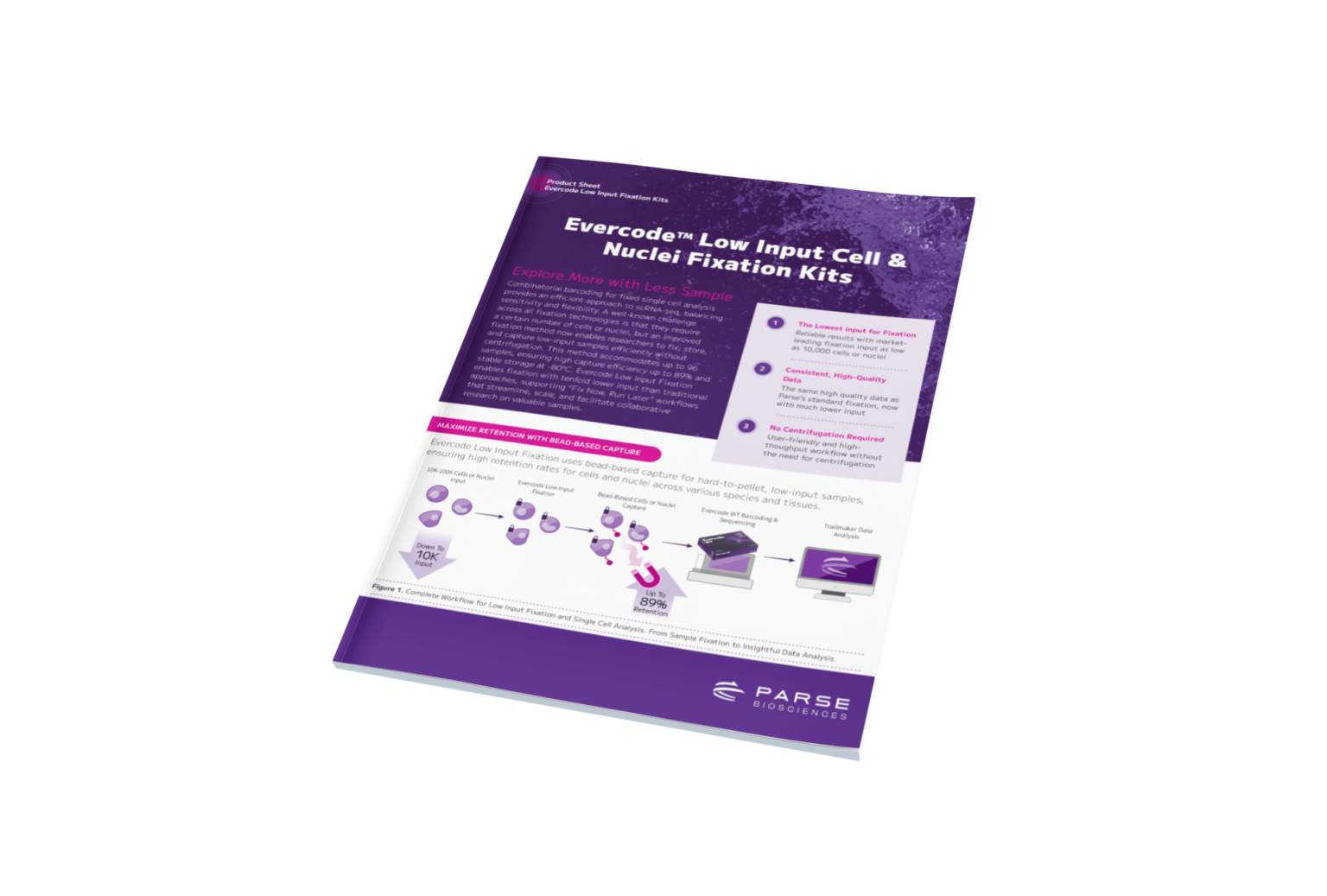 Evercode Fixation: Fix and Store Cell or Nuclei for Single Cell - Parse Biosciences