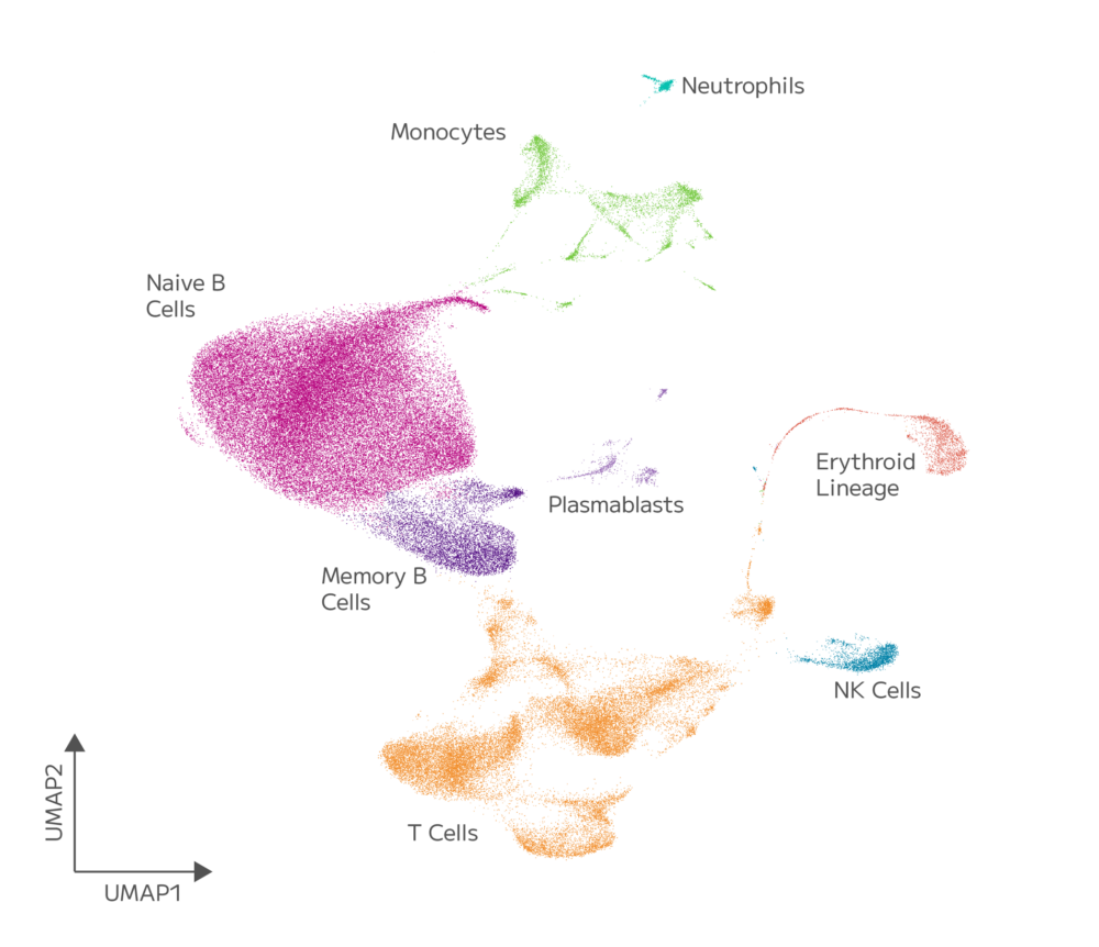 Titration of Known Clonotype Showcases Evercode BCR Sensitivity - Parse Biosciences