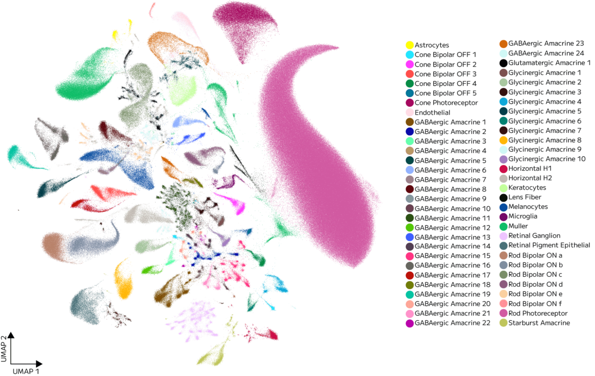 5 Million Mouse Single Cell Atlas from 7 Tissues - Parse Biosciences