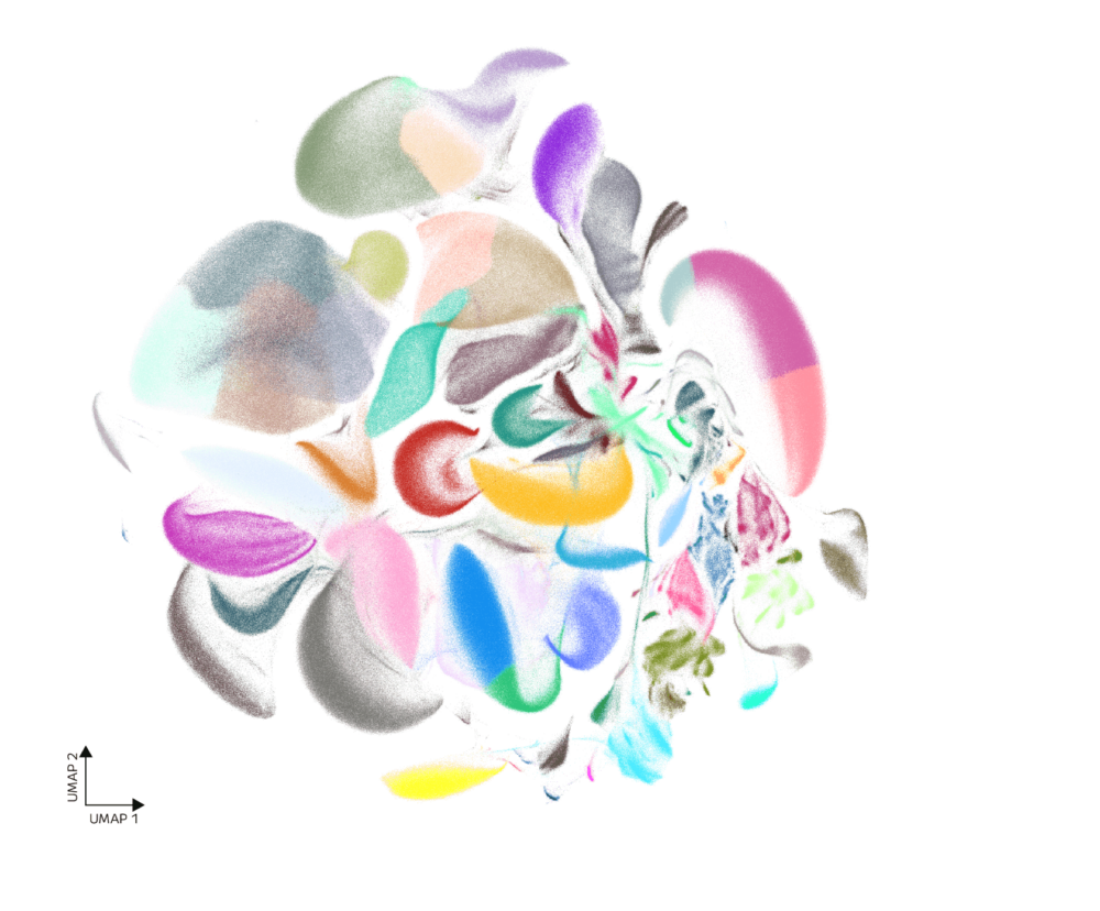 5 Million Mouse Single Cell Atlas from 7 Tissues - Parse Biosciences