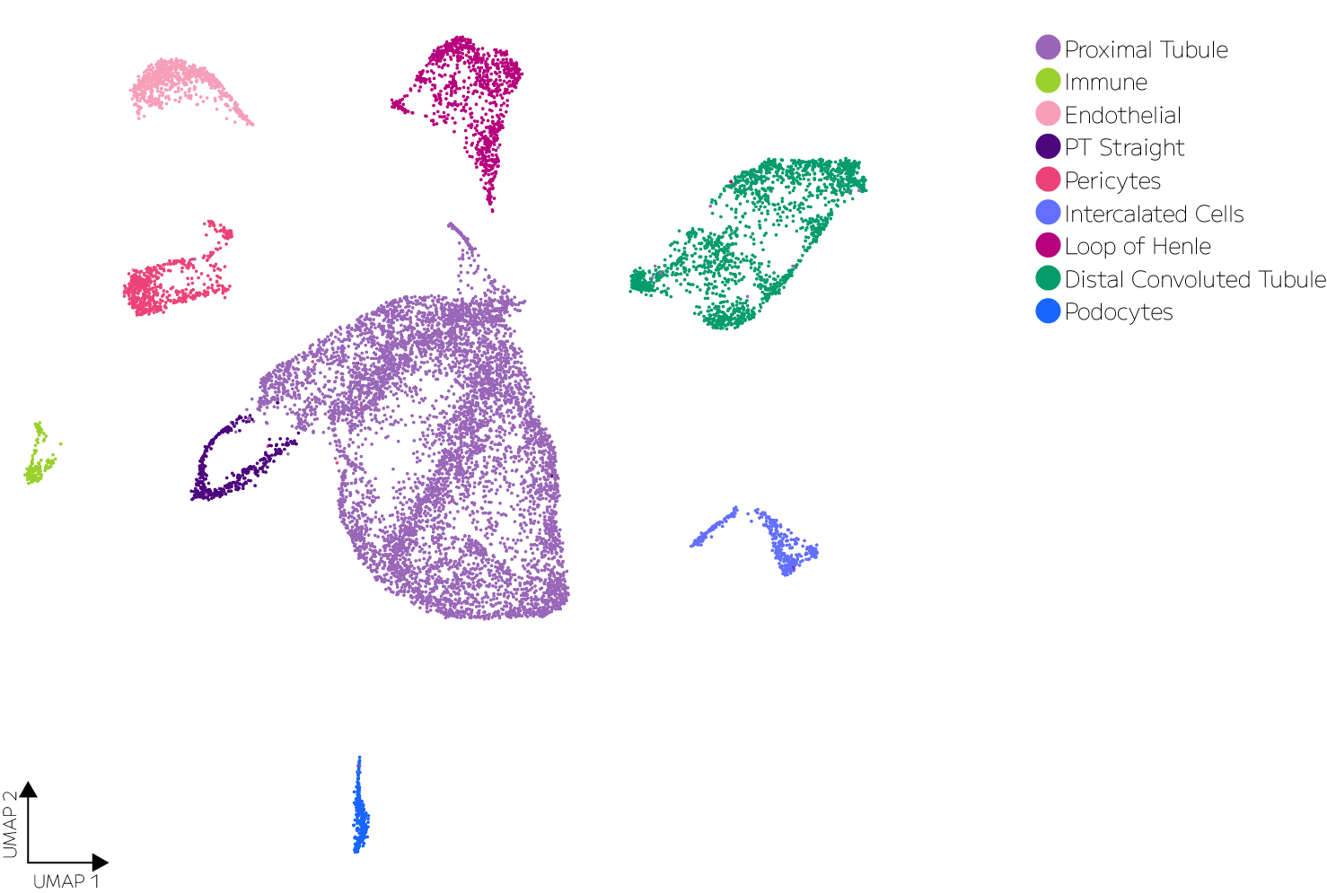 Whole Transcriptome Single Cell Profiling from FFPE Tissue - Parse Biosciences