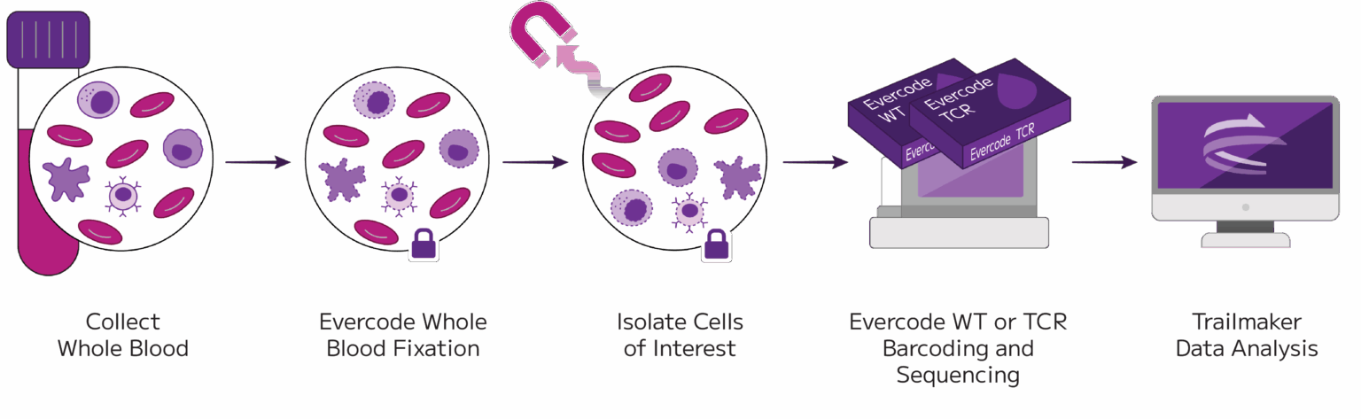 Evercode Whole Blood Fixation - Parse Biosciences