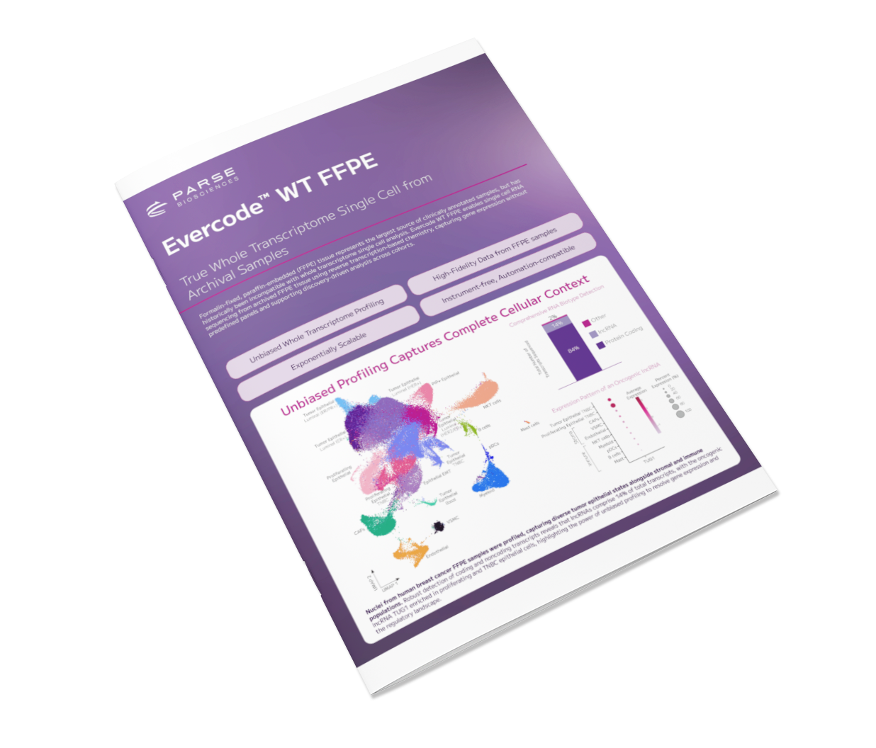 Evercode WT FFPE Product Sheet Parse Biosciences Evercode WT FFPE Product Sheet Parse Biosciences